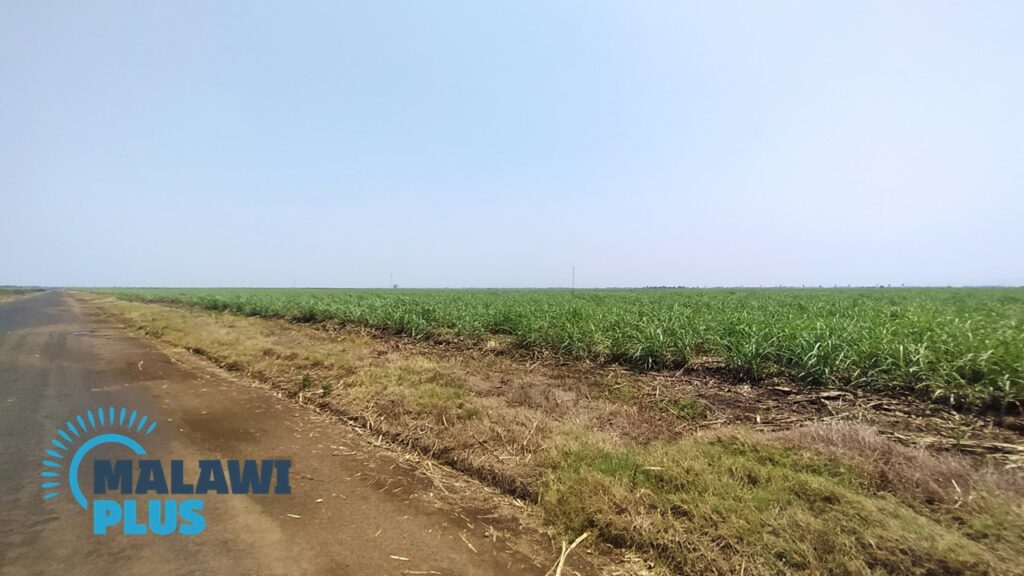 Chikwawa District in Malawi｜Malawi Travel and Business Guide