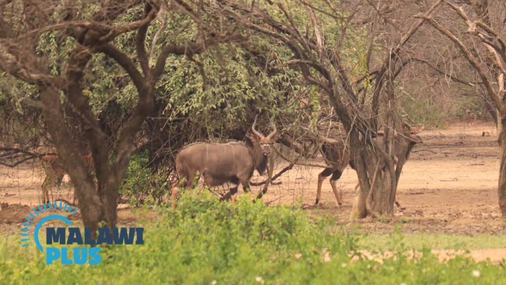 Chikwawa District in Malawi｜Malawi Travel and Business Guide