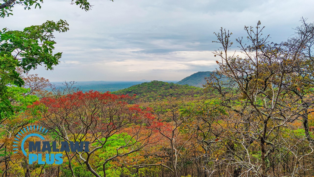 Dzalanyama Forest Reserve in Lilongwe, Malawi｜Malawi Travel and ...
