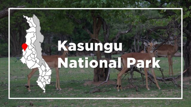 Kasungu District｜MALAWI PLUS