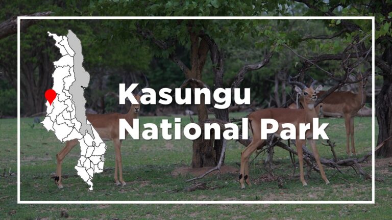 Kasungu District｜MALAWI PLUS