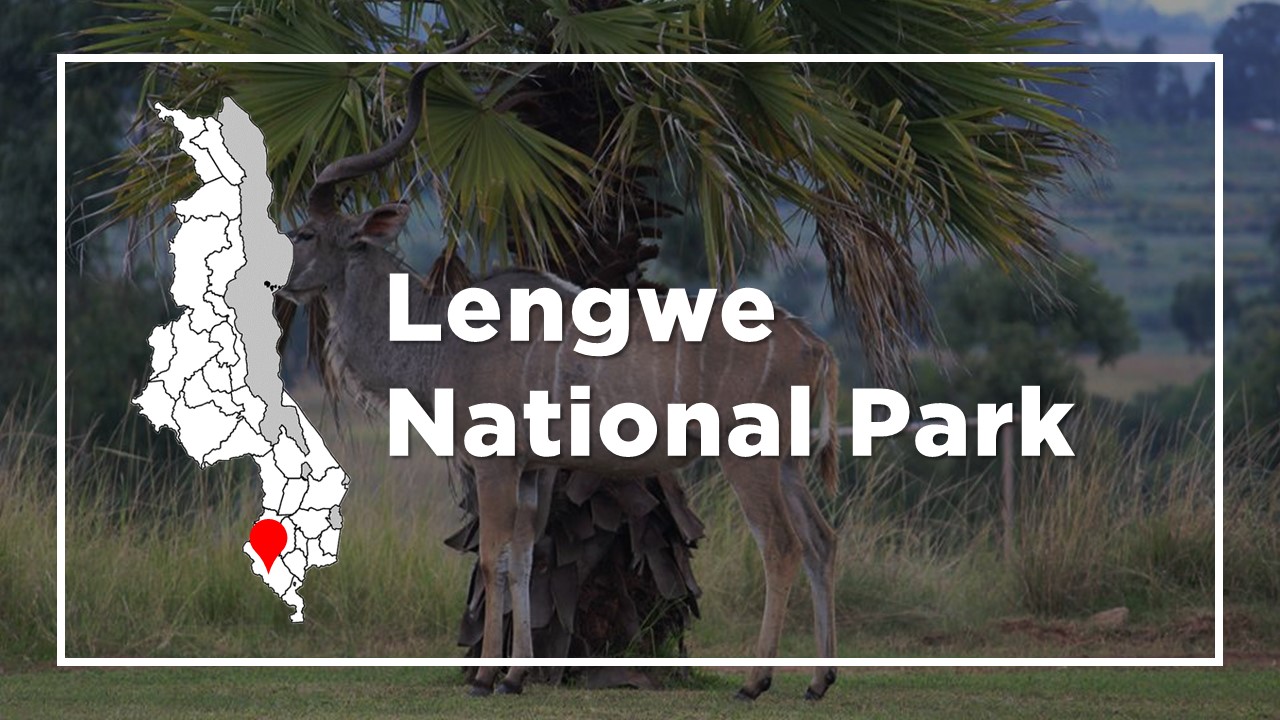 Lengwe National Park｜MALAWI PLUS