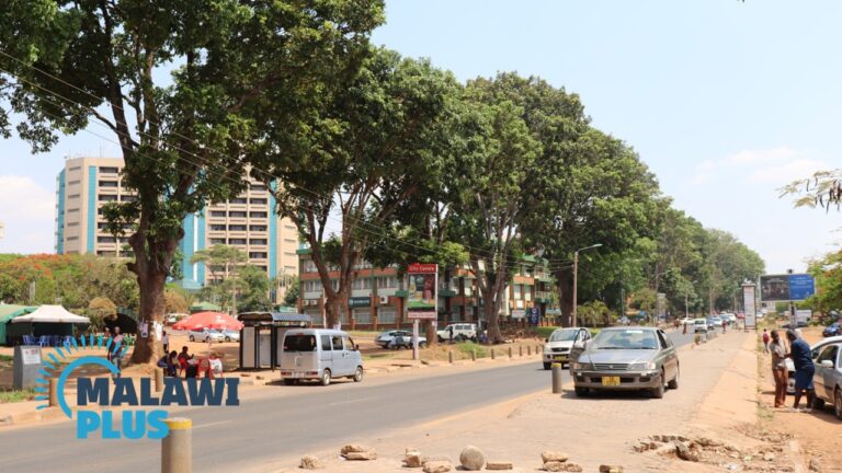 Lilongwe District in Malawi｜Malawi Travel and Business Guide