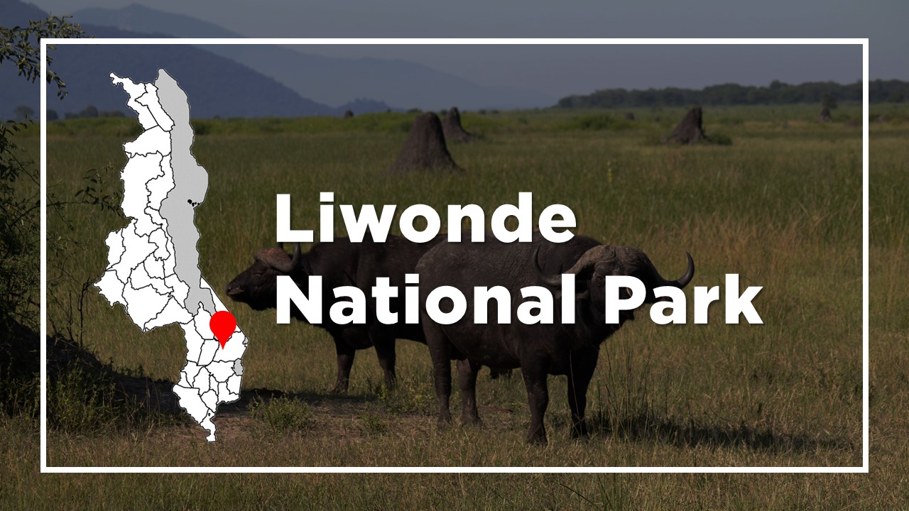 Machinga District｜MALAWI PLUS