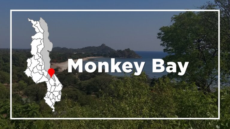 Monkey Bay｜MALAWI PLUS