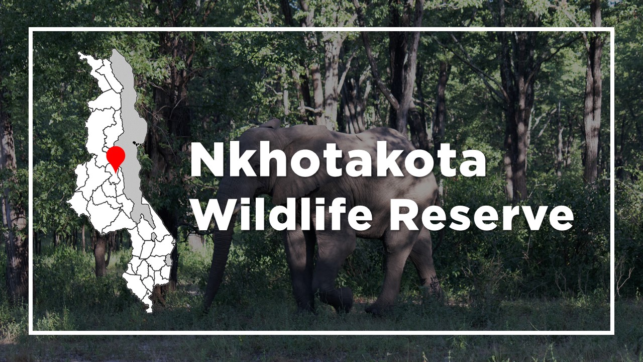 Nkhotakota Wildlife Reserve｜MALAWI PLUS