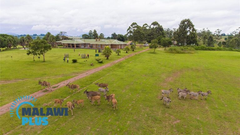 50 Best Things to Do in Malawi – 2023｜Malawi Travel and Business Guide