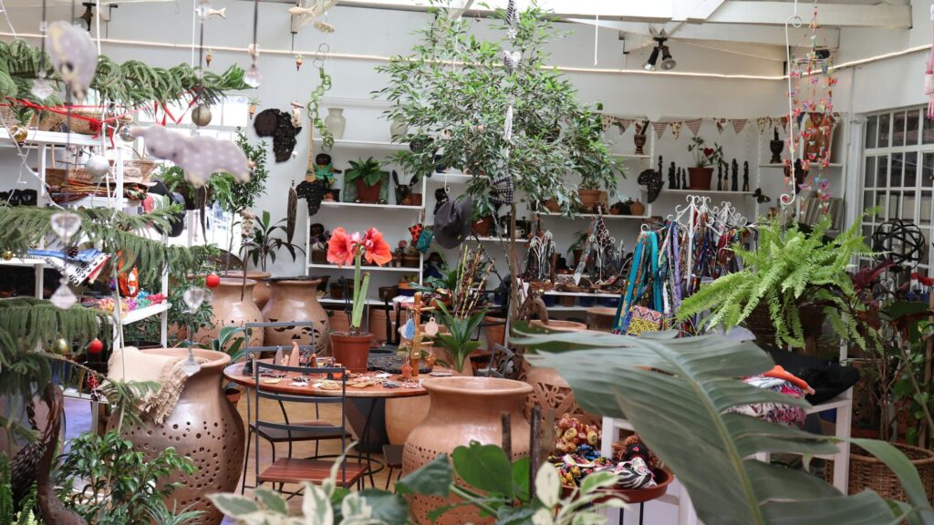 Shopping at Garden Shop in Four Seasons Centre in Lilongwe｜Malawi ...