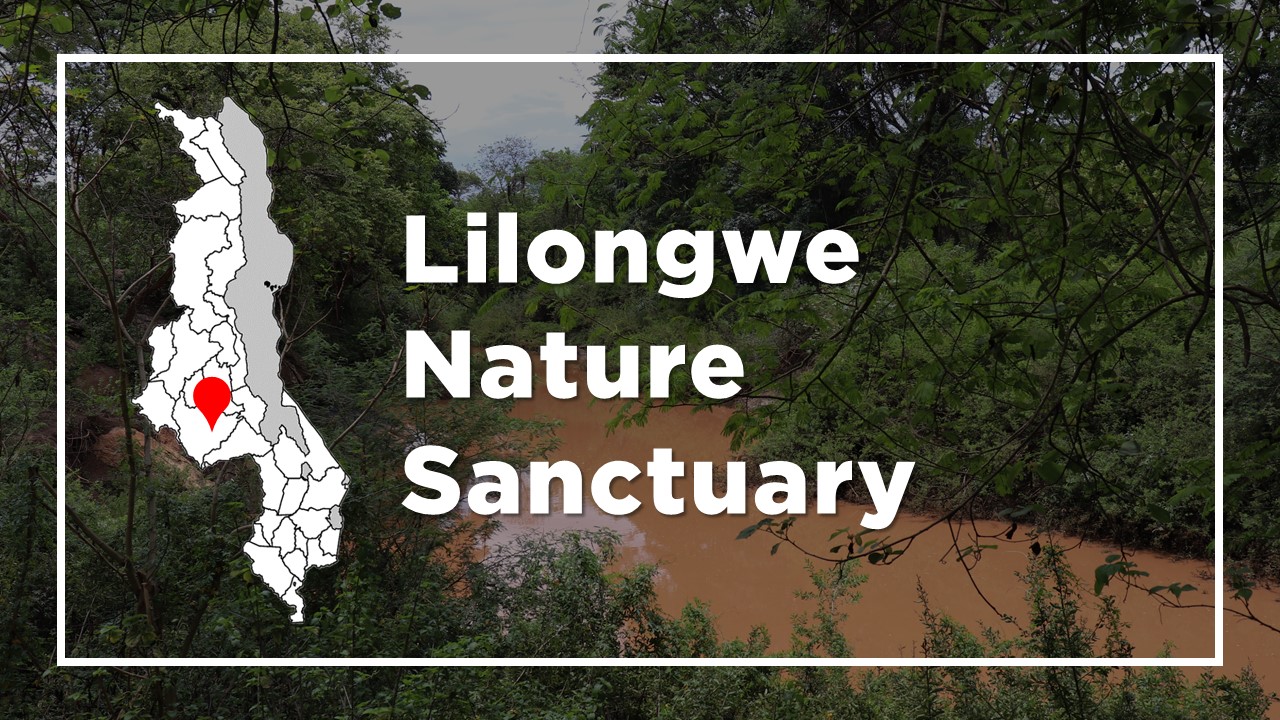 Lilongwe Nature Sanctuary in Lilongwe, Malawi｜MALAWI PLUS