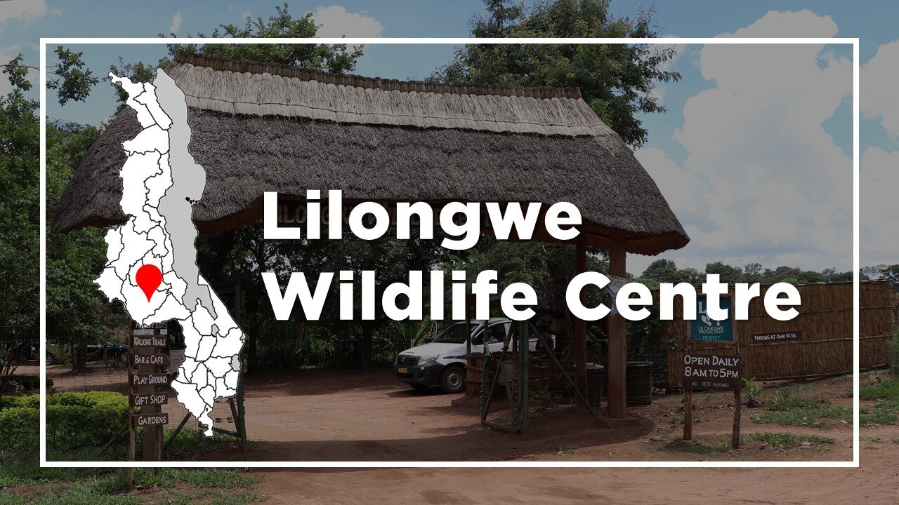 Lilongwe Wildlife Centre｜MALAWI PLUS