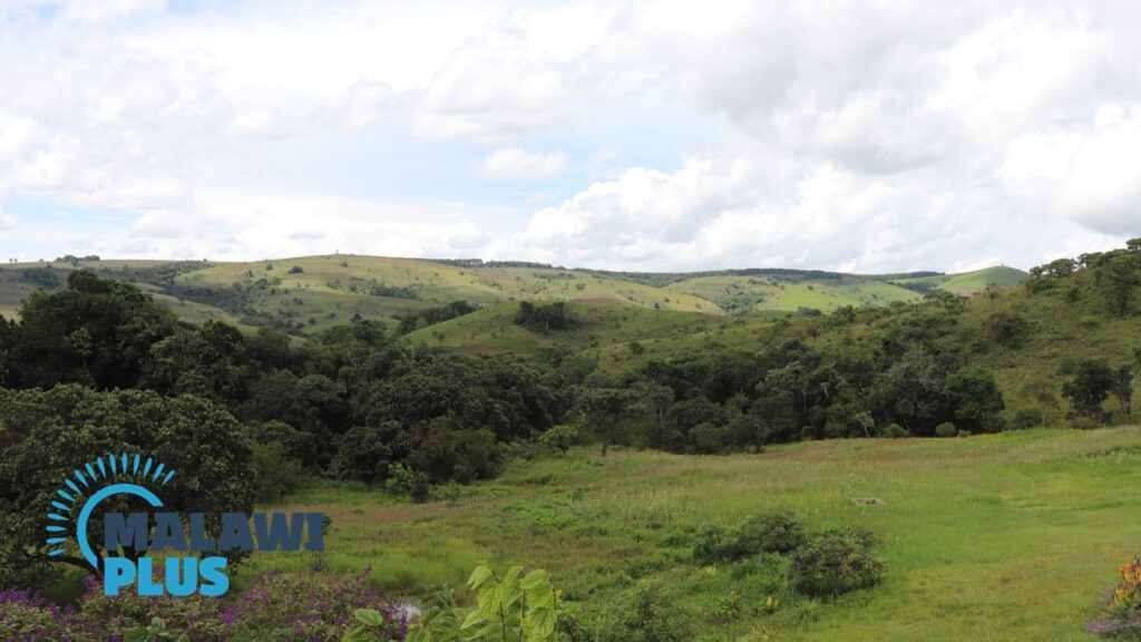 Mzimba District in Malawi｜Malawi Travel and Business Guide