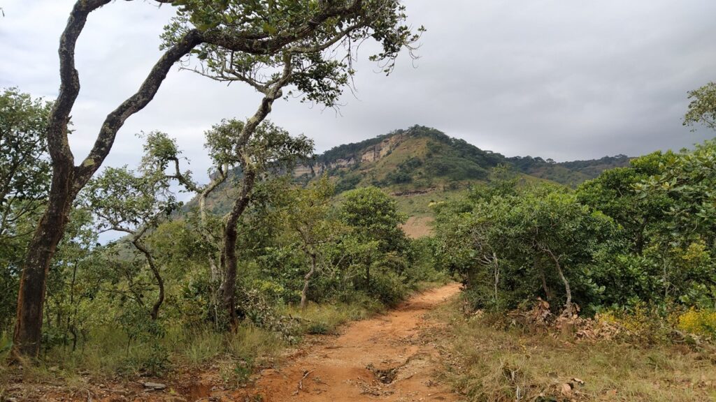 Hiking Chombe Plateau (Livingstonia, Rumphi)｜Malawi Travel and Business ...