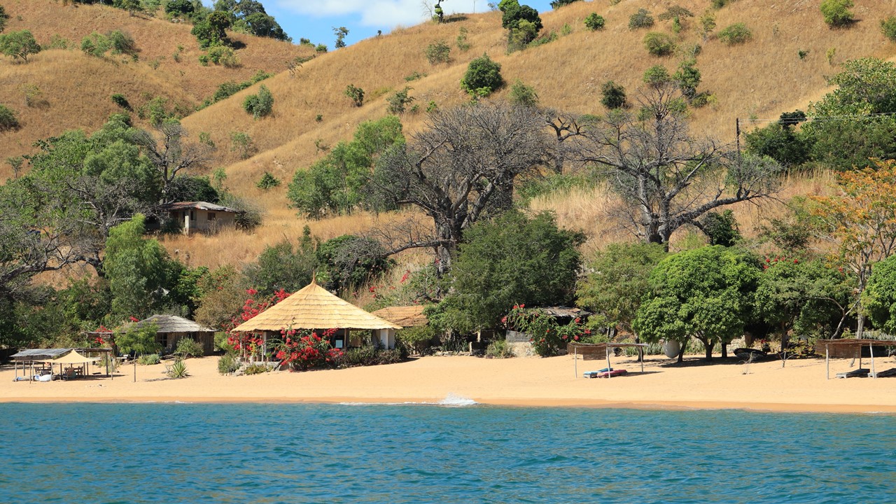 Mango Drift in Likoma｜Malawi Travel and Business Guide