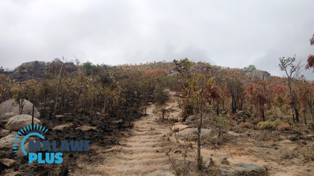 Hiking Mount Soche (Blantyre)｜Malawi Travel and Business Guide