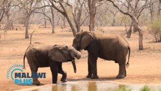 Chikwawa District in Malawi｜Malawi Travel and Business Guide