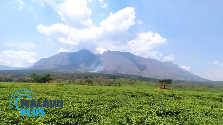 Hiking Mount Mulanje, the highest mountain in Malawi｜Malawi Travel and ...