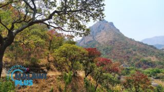 Hiking Mount Mulanje, the highest mountain in Malawi｜Malawi Travel and ...