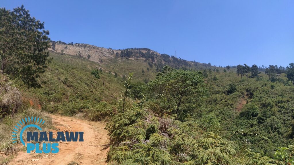 Hiking Zomba Plateau (Zomba)｜Malawi Travel and Business Guide