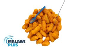 Food in Malawi｜Malawi Travel and Business Guide