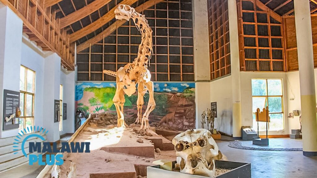Karonga District In Malawi|malawi Travel And Business Guide
