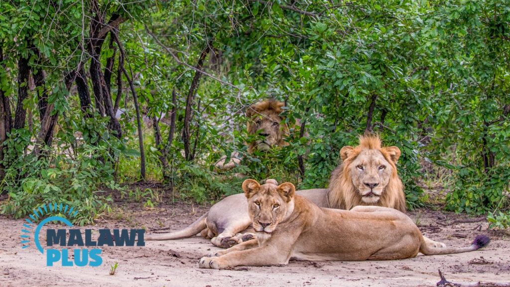 Chikwawa District in Malawi｜Malawi Travel and Business Guide