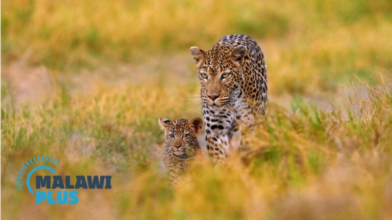 15 National Parks, Wildlife Reserves and Other Places to Experience ...