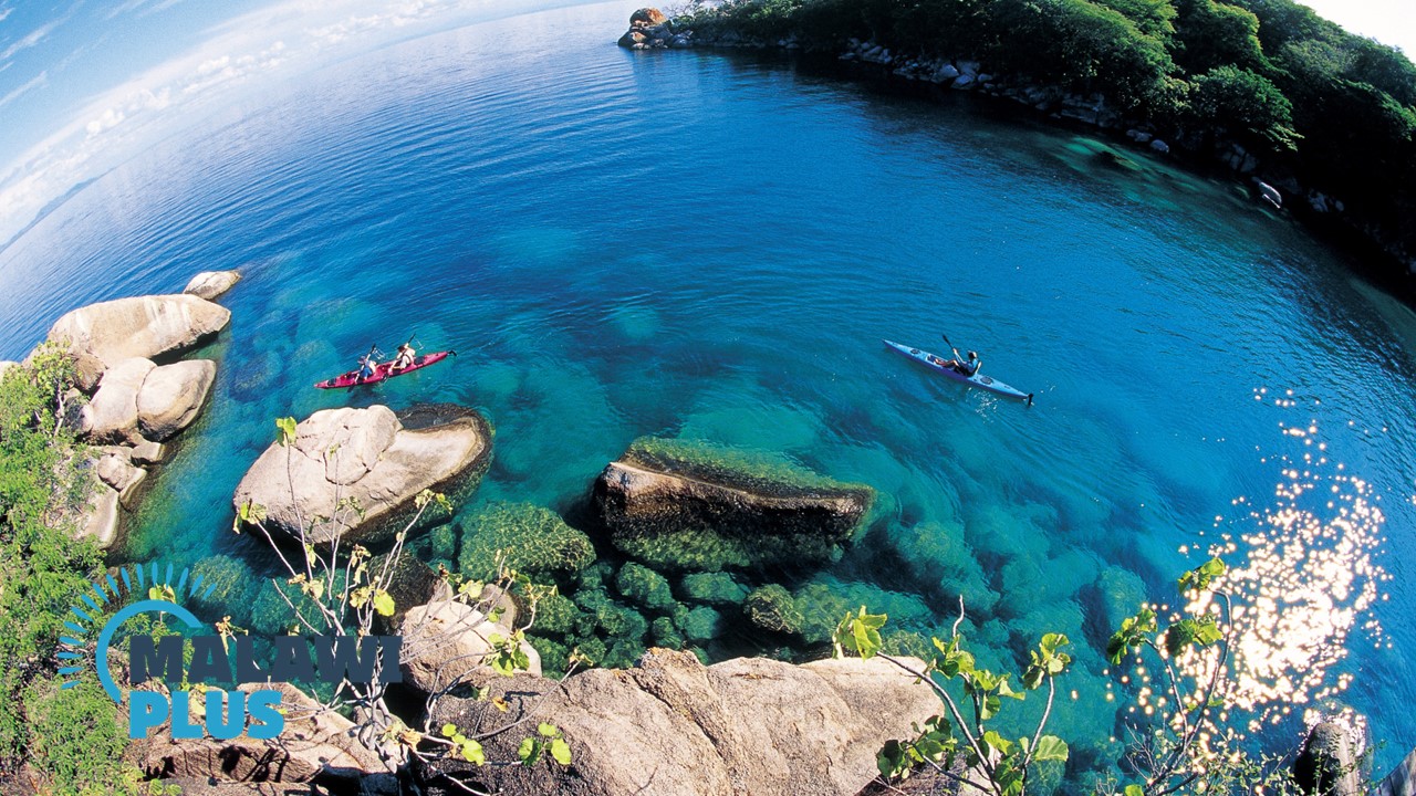 Red Zebra in Senga Bay, Salima｜Malawi Travel and Business Guide