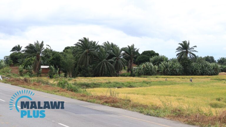 Songwe Border (Malawi-Tanzania Border) in Karonga, Malawi｜Malawi Travel ...