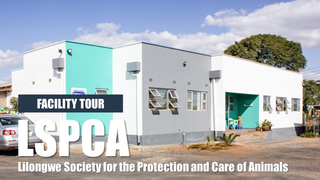 LSPCA (Lilongwe Society for the Protection and Care of Animals ...