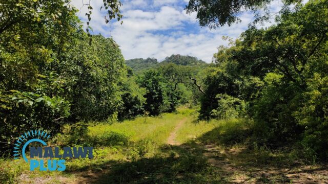 Hiking Senga Hills (Senga Bay, Salima)｜Malawi Travel and Business Guide