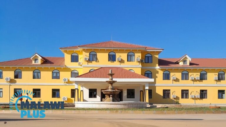Interview with Dr. Napoleon Dzombe｜Malawi Travel and Business Guide
