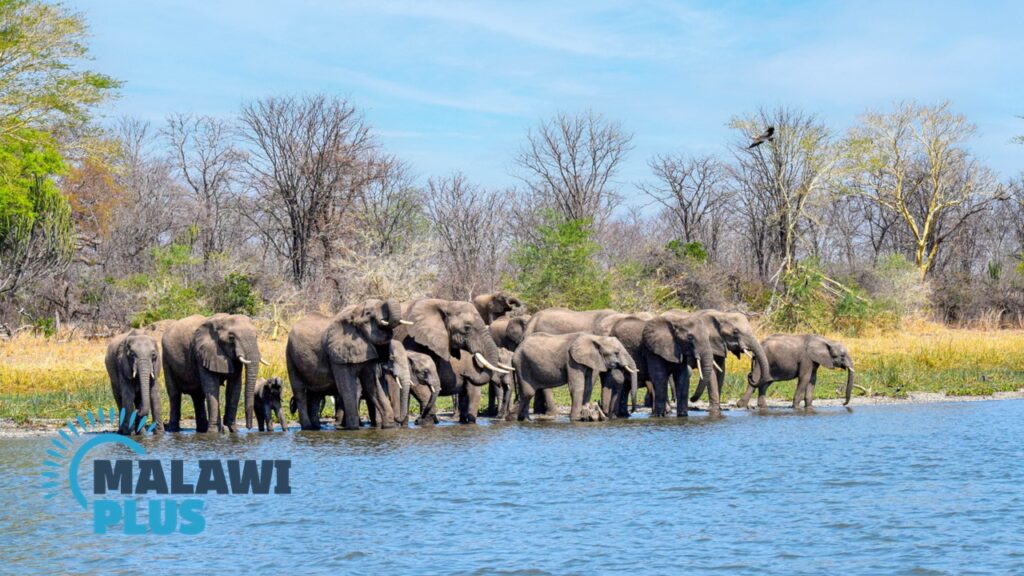 Top 10 Most Popular Destinations in Malawi｜Malawi Travel and Business Guide